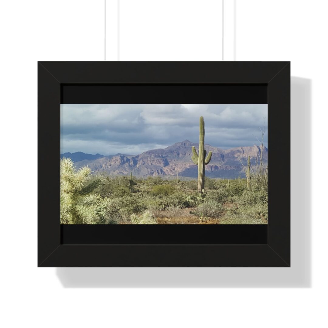 Horizontal Poster of Multiple Desert Cactus Greenery in the Beautiful ...